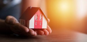 What Is Mutation Of Property, And Why It Is Important?