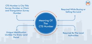 What is CTS Number on Property: Its Meaning, Importance & Allotment Process