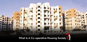 What Is A Co-operative Housing Society? Its History, Concept & Rules