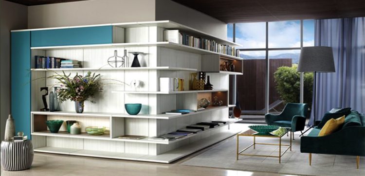 Best 10+ Simple Showcase Designs For Your House In 2025